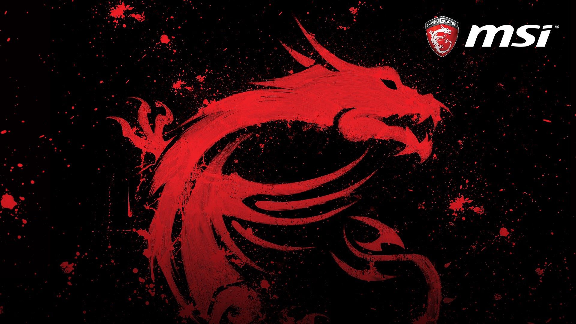 MSI Monitor Test Waar Moet Je Op Letten Bij Het Kopen Van Een Monitor 